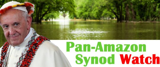 El portal Pan-Amazon Synod Watch: un importante instrumento de ...